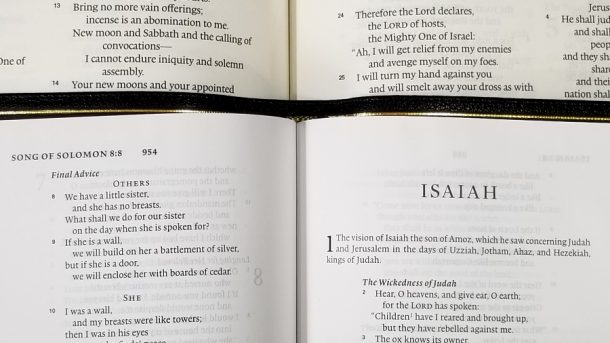 ESV Pulpit Bible (31) - Bible Buying Guide