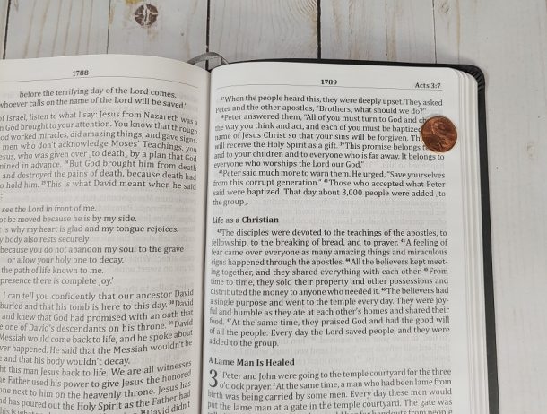 God's Word Deluxe Large Print Bible Review - Bible Buying Guide