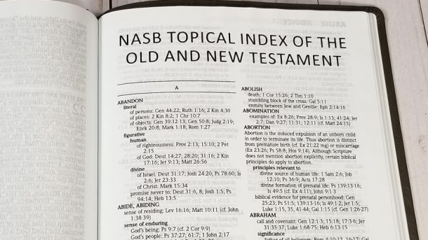 NASB 2020 Large Print Ultrathin Reference Bible - Bible Buying Guide