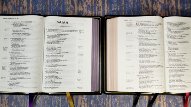 NRSV Single-Column Reference Bible Premier Collection - Bible Buying Guide