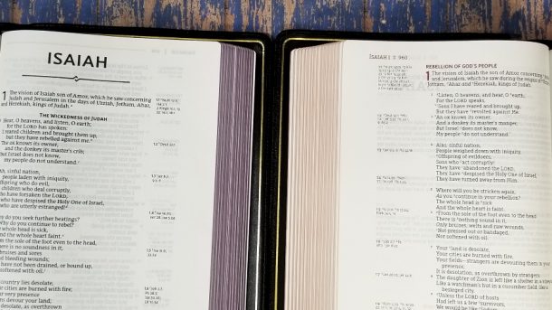 NRSV Single-Column Reference Bible Premier Collection - Bible Buying Guide