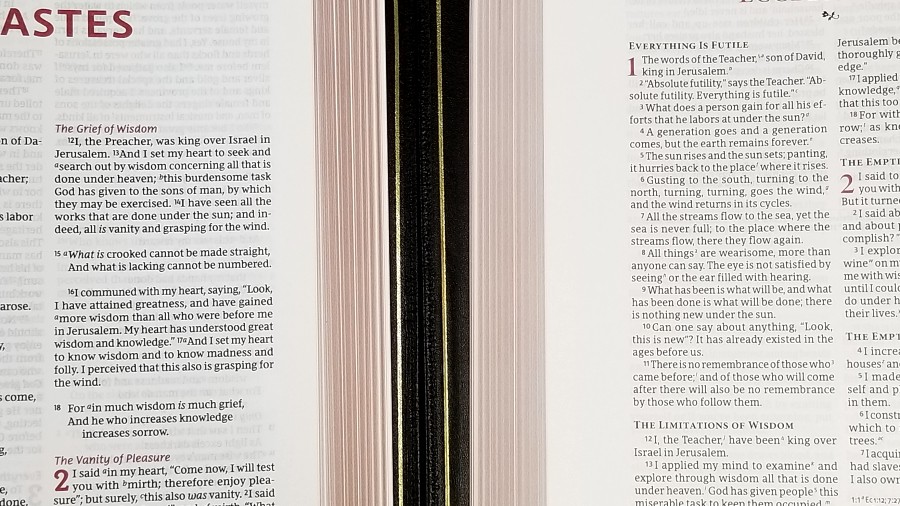 CSB Verse By Verse Reference Bible (27) - Bible Buying Guide