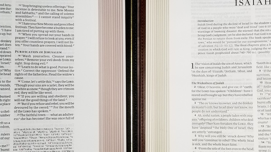 CSB Verse By Verse Reference Bible (31) - Bible Buying Guide