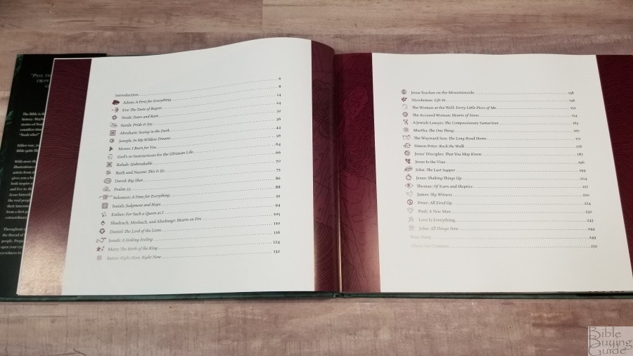 Eyewitness The Visual Bible Experience (7) - Bible Buying Guide