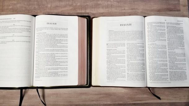 ESV Preaching Bible Verse-by-Verse Edition - Bible Buying Guide