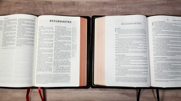 ESV Preaching Bible Verse-by-Verse Edition - Bible Buying Guide