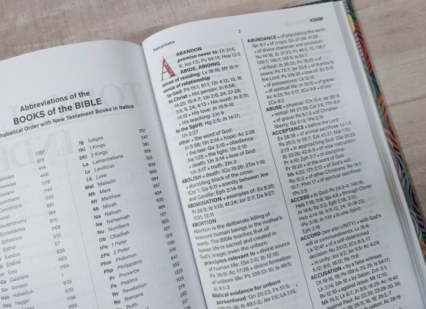 NASB Children's Edition Bible Review - Bible Buying Guide