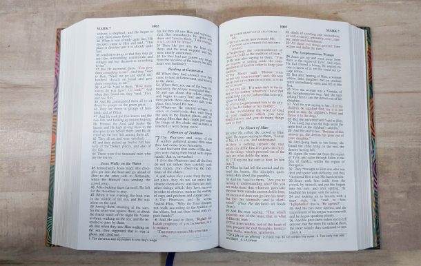 NASB Children's Edition Bible Review - Bible Buying Guide