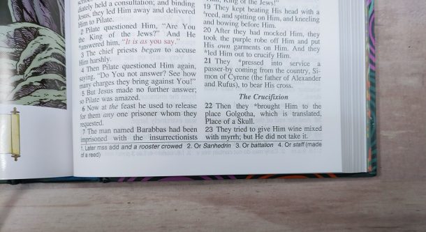 NASB Children's Edition Bible Review - Bible Buying Guide