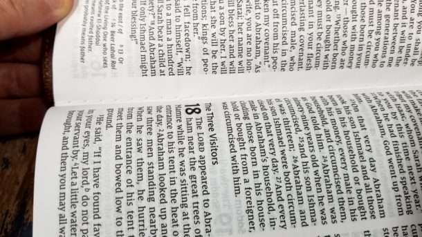 NIV Large-Print Personal-Size Bible - Bible Buying Guide