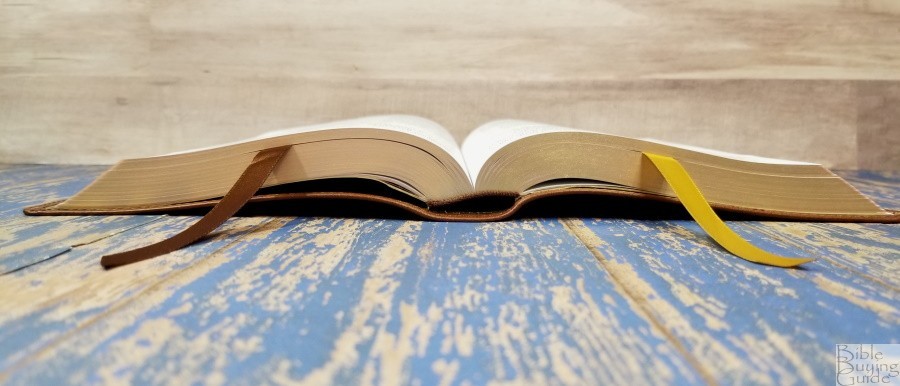 NIV Large Print Personal Size Bible 7 Bible Buying Guide NIV Large Print Personal Size Bible 7 Bible Buying Guide