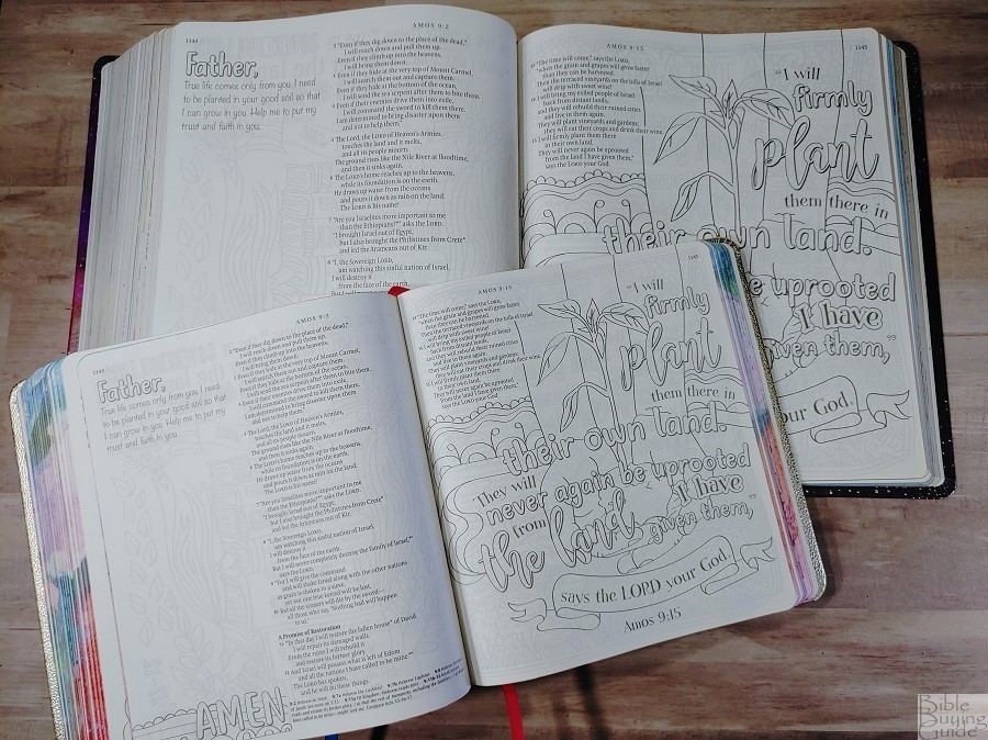 NLT Giant Print Inspire Prayer Bible Review Bible Buying Guide