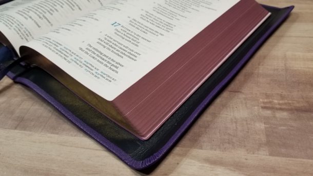 Purple Sully Goatskin Bible Rebind from AE Bibles - Bible Buying Guide