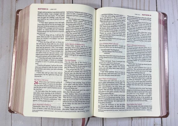 NLT Thrive Devotional Bible for Women - Bible Buying Guide