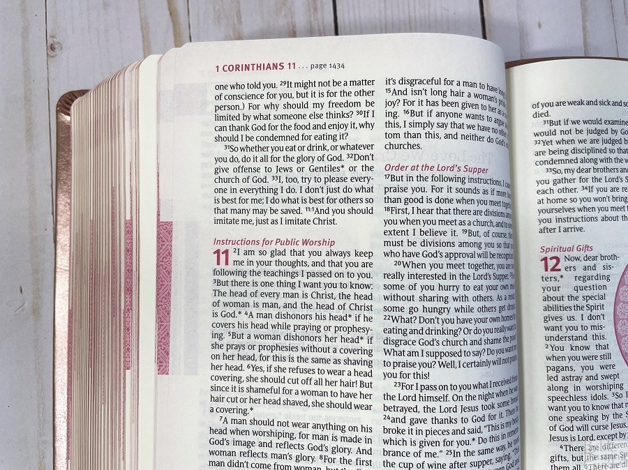 NLT Thrive Devotional Bible (18) - Bible Buying Guide