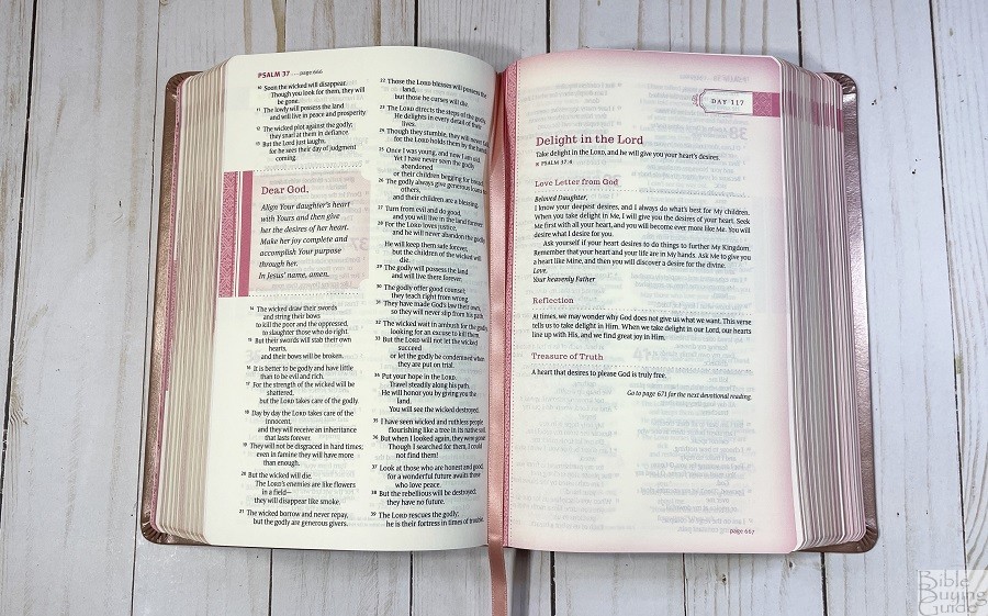 NLT Thrive Devotional Bible (6) - Bible Buying Guide