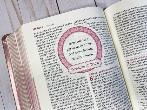 NLT Thrive Devotional Bible for Women - Bible Buying Guide