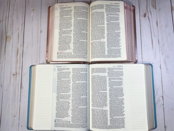 NLT Thrive Devotional Bible for Women - Bible Buying Guide