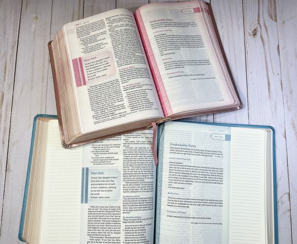 NLT Thrive Devotional Bible for Women - Bible Buying Guide