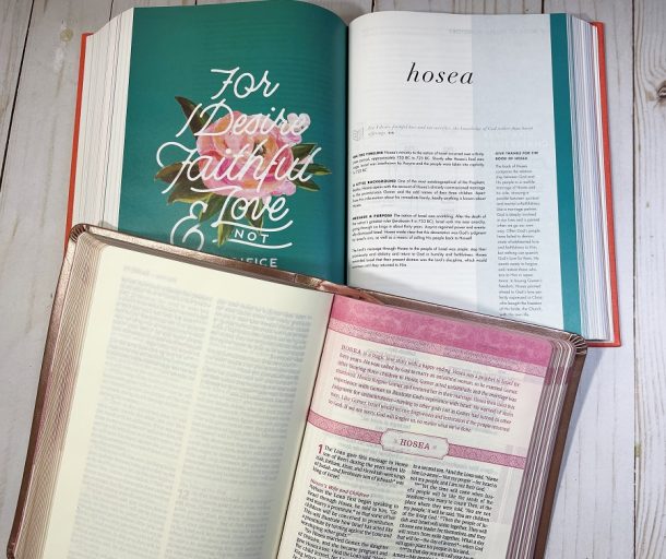 NLT Thrive Devotional Bible for Women - Bible Buying Guide