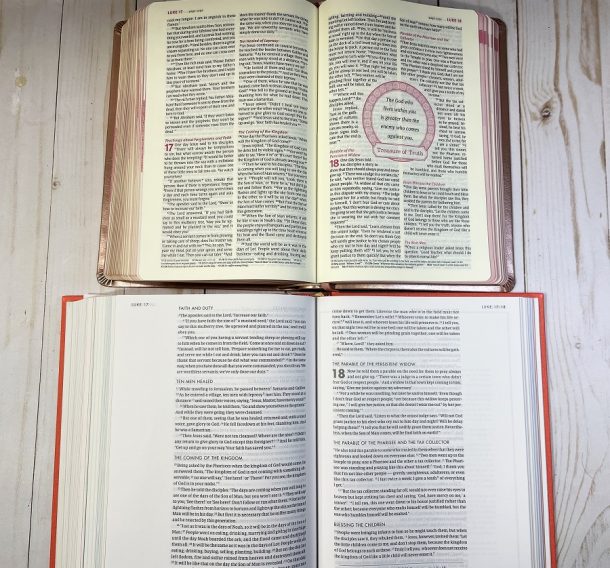 NLT Thrive Devotional Bible for Women - Bible Buying Guide