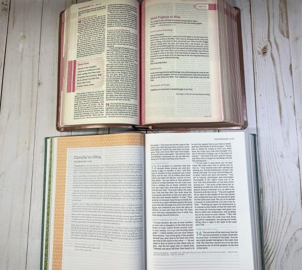 NLT Thrive Devotional Bible for Women - Bible Buying Guide