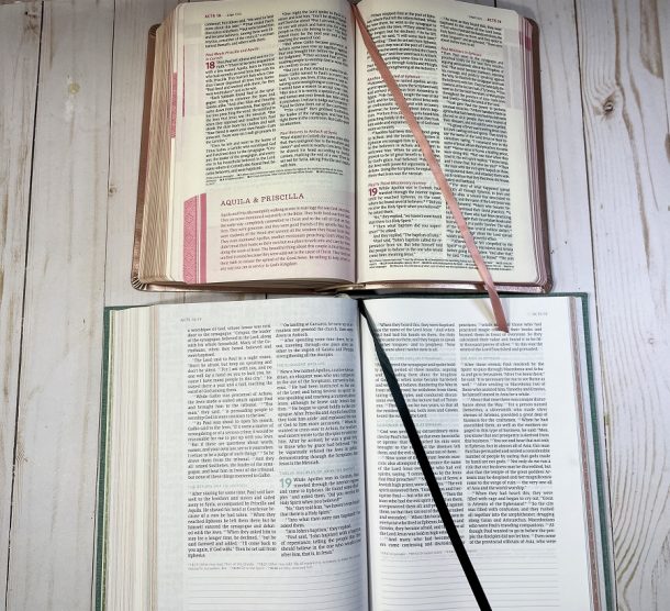 NLT Thrive Devotional Bible for Women - Bible Buying Guide