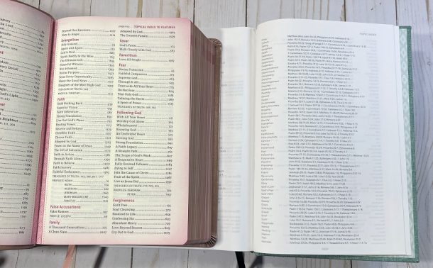 NLT Thrive Devotional Bible for Women - Bible Buying Guide