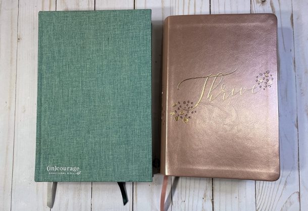 NLT Thrive Devotional Bible for Women - Bible Buying Guide