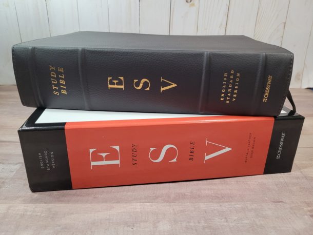 Crossway's ESV Study Bible in Deep Brown Buffalo Leather - Bible Buying ...
