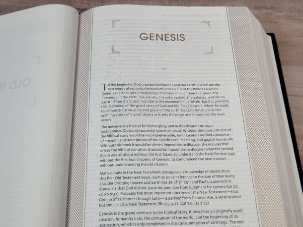 NIV Grace and Truth Study Bible Review - Bible Buying Guide