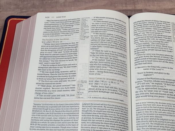 NIV Grace and Truth Study Bible Review - Bible Buying Guide