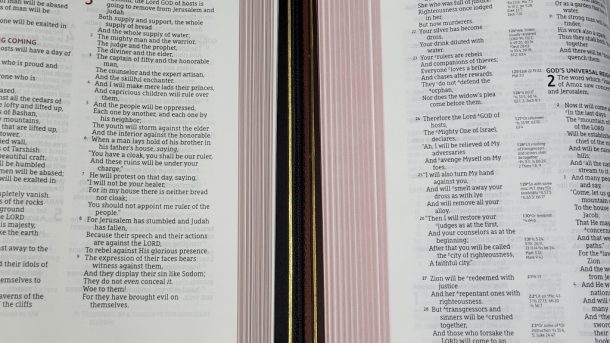 NASB 1995 Classic Reference Bible Review - Bible Buying Guide