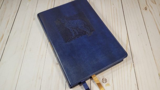 NET Bible Large Print Thinline Art Edition Review - Bible Buying Guide