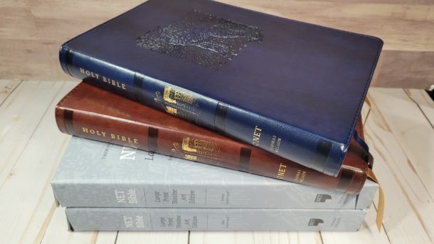 NET Bible Large Print Thinline Art Edition Review - Bible Buying Guide