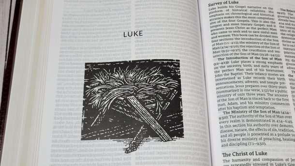 NET Bible Large Print Thinline Art Edition Review - Bible Buying Guide