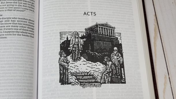 NET Bible Large Print Thinline Art Edition Review - Bible Buying Guide