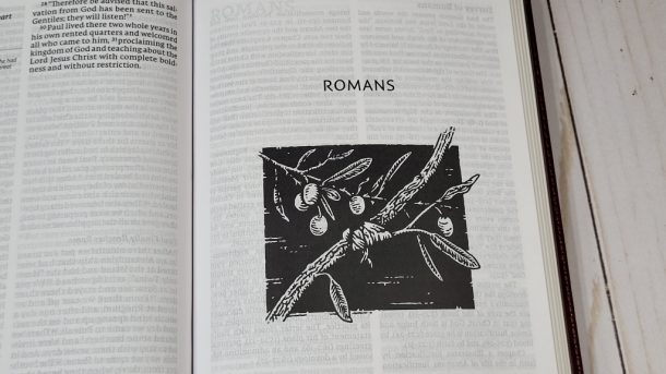 NET Bible Large Print Thinline Art Edition Review - Bible Buying Guide