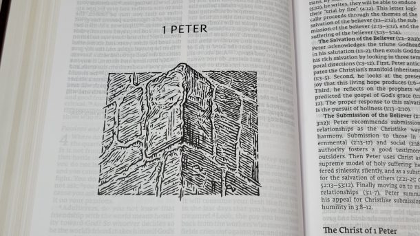 NET Bible Large Print Thinline Art Edition Review - Bible Buying Guide