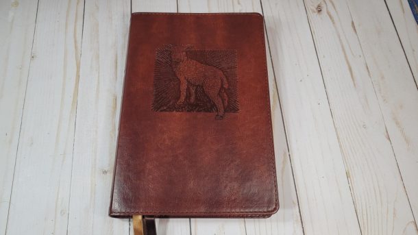 NET Bible Large Print Thinline Art Edition Review - Bible Buying Guide