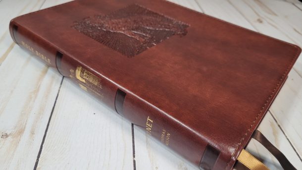 NET Bible Large Print Thinline Art Edition Review - Bible Buying Guide