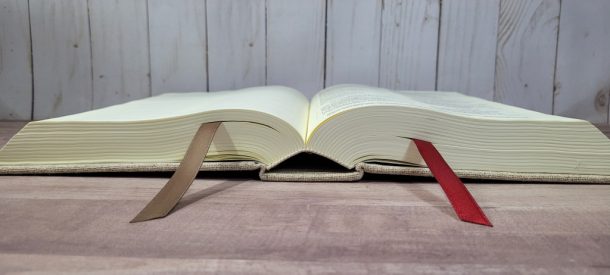 NKJV Interleaved Bible Journal Edition - Bible Buying Guide