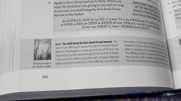 The Israel Bible Review - Bible Buying Guide