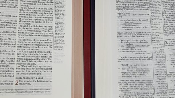 Cambridge ESV Diadem in Hardcover - Bible Buying Guide