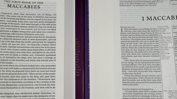 Cambridge ESV Diadem in Hardcover - Bible Buying Guide