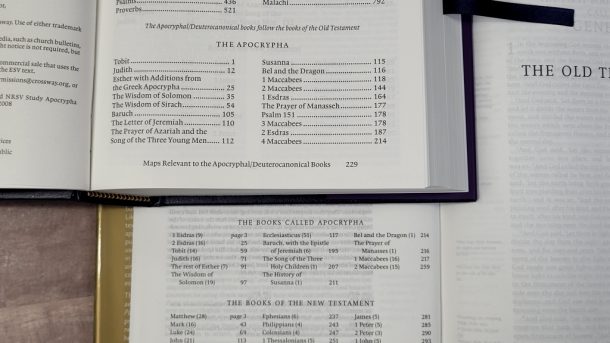 Cambridge ESV Diadem in Hardcover - Bible Buying Guide