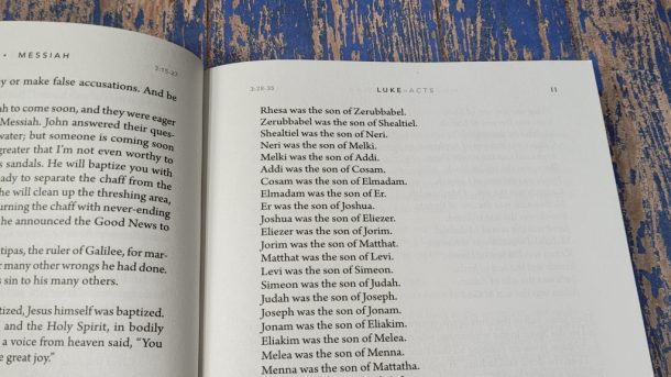 Immerse Messiah Large Print Bible Review - Bible Buying Guide