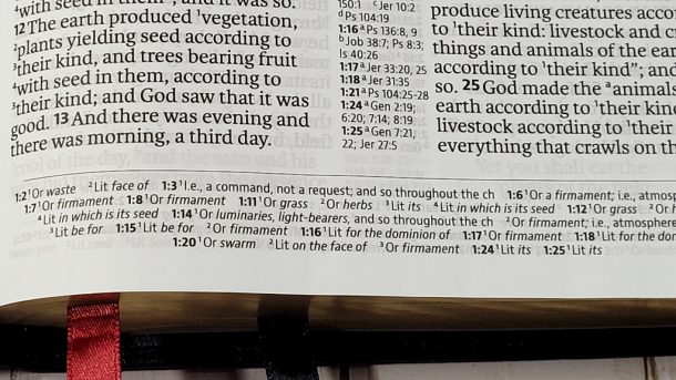 Lockman NASB 2020 Large Print Ultrathin Reference Bible in Calfskin ...