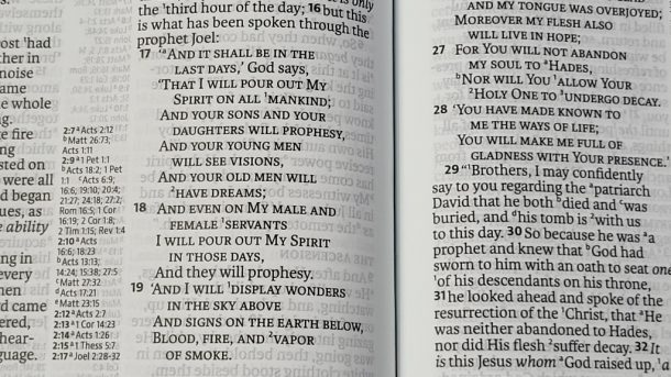 Lockman NASB 2020 Large Print Ultrathin Reference Bible in Calfskin ...