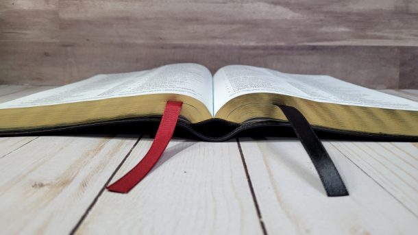 Lockman NASB 2020 Large Print Ultrathin Reference Bible in Calfskin ...